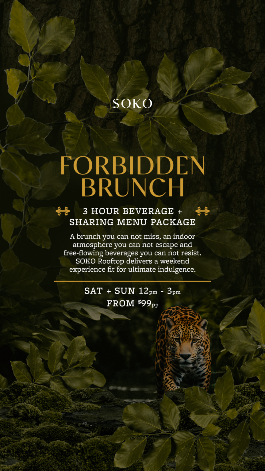 What's On - Soko Rooftop